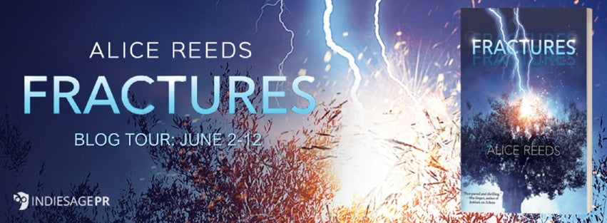 FRACTURES by Alice Reeds – Best Pixel Design