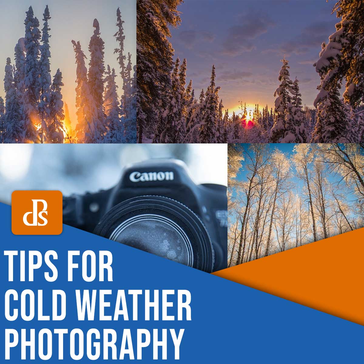 Cold Weather Photography: How to (Safely!) Take Photos in the Cold ...